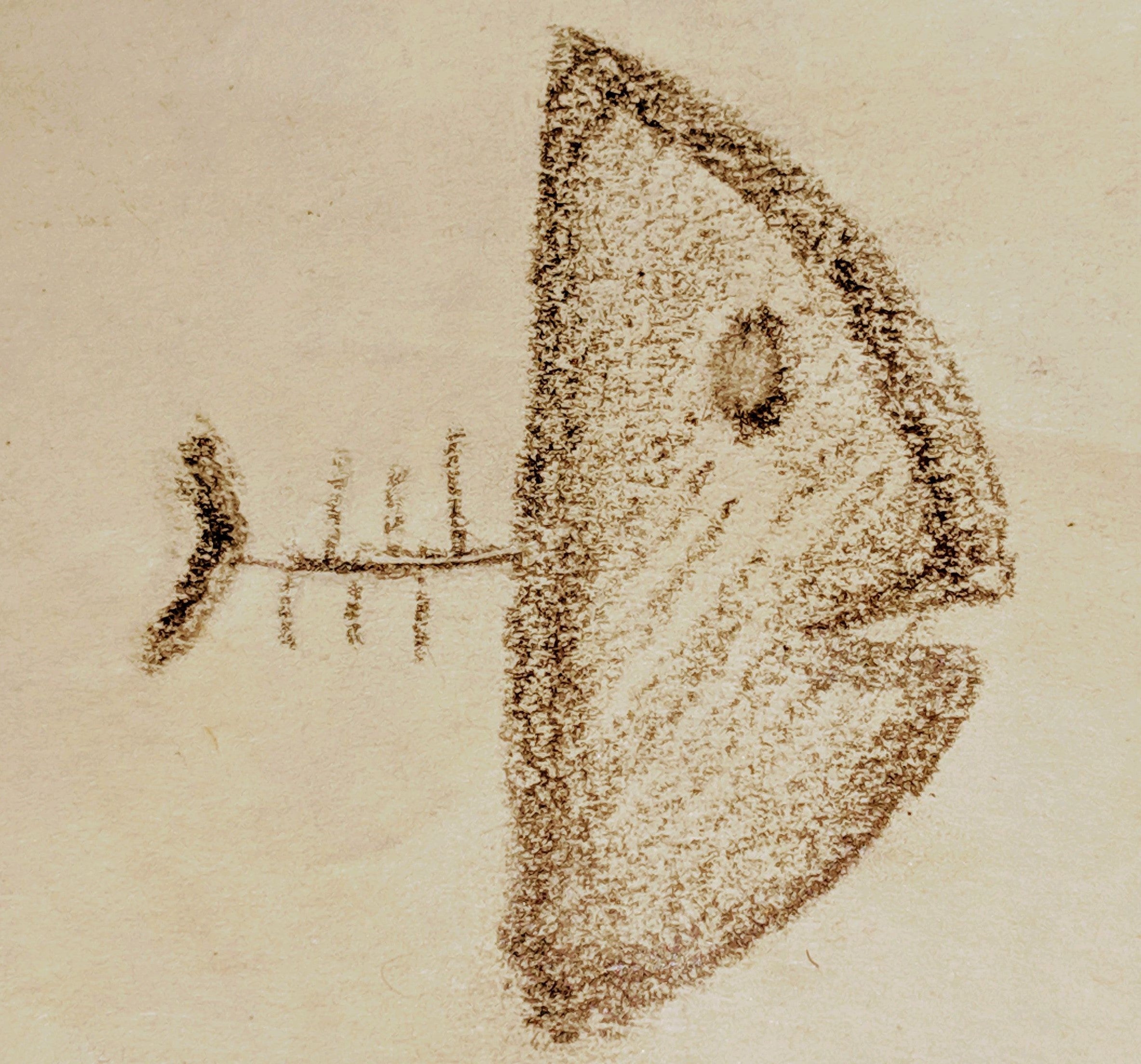SMALL WORLD SEAFOOD logo